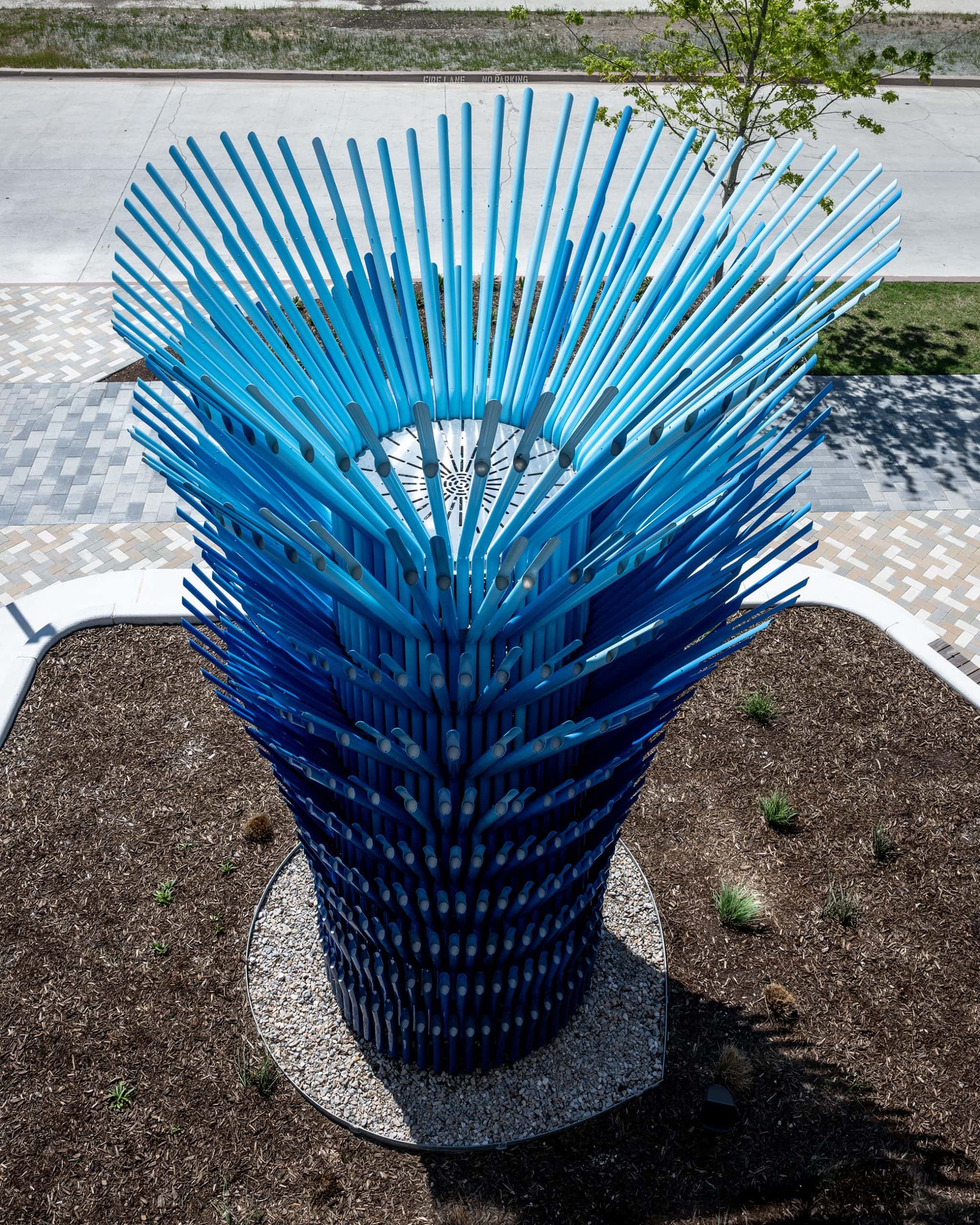 Bluebonnet - SOFTlab