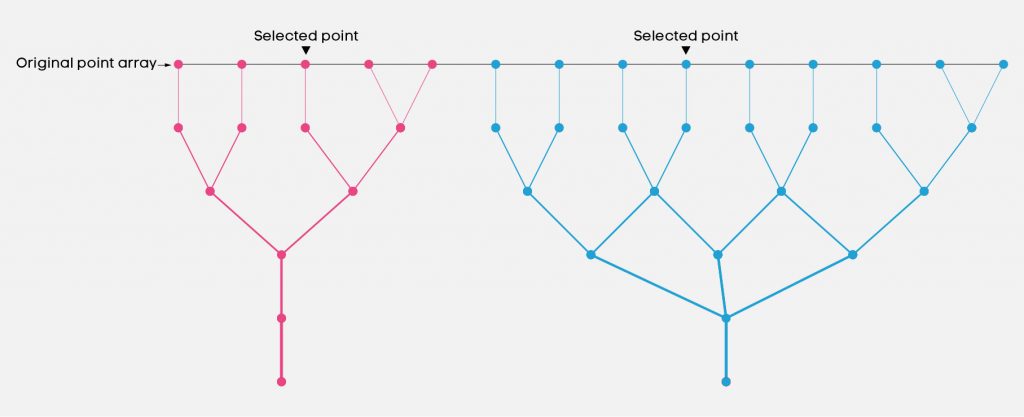 Branching Structure Softlab
