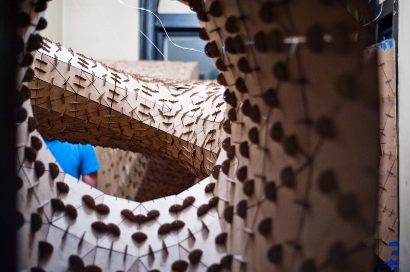 pAlice Installation - SOFTlab