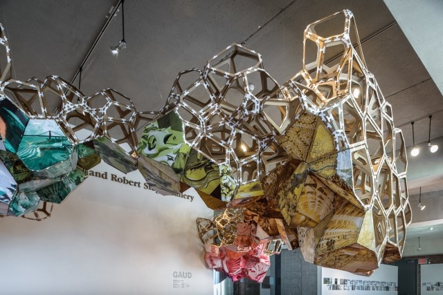 Cell Structure - SOFTlab