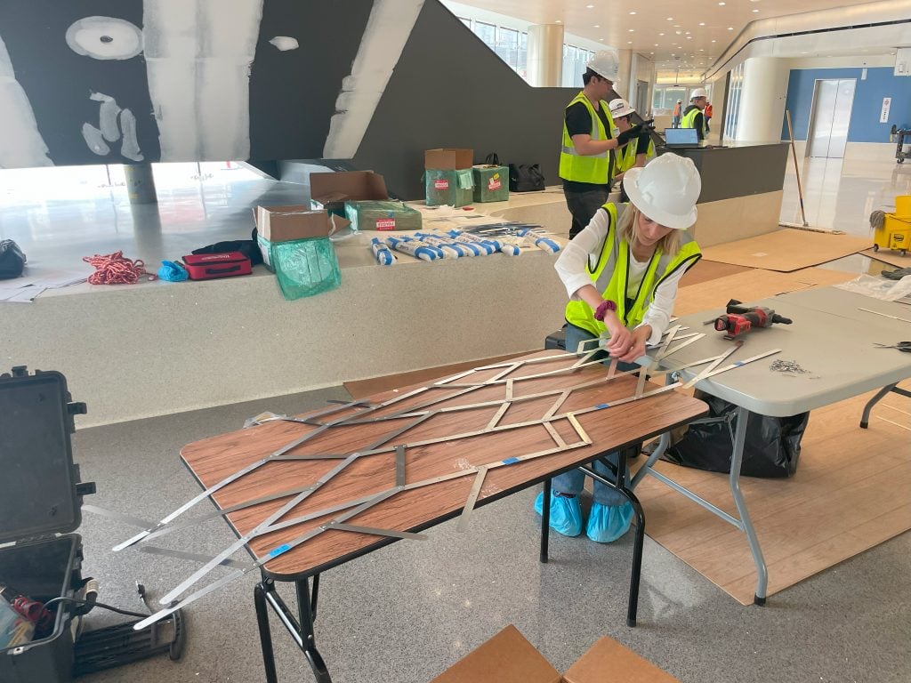 Nest Install - SOFTlab